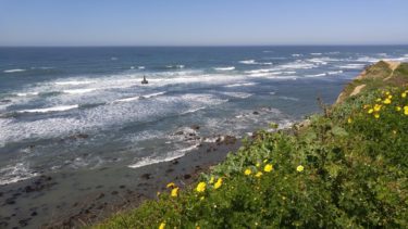 The Ultimate California Getaway: Half Moon Bay – A GLOBAL LIFESTYLE